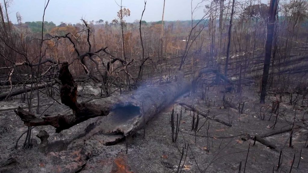 ¿Cómo se están combatiendo los incendios en la Amazonia brasileña y la ...