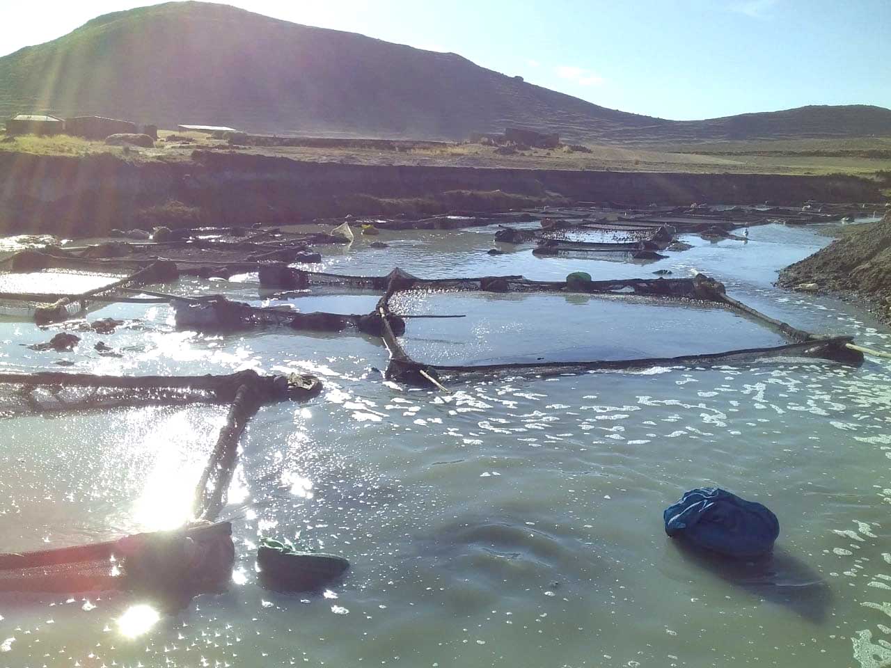 Ilave: río Zapatilla contaminado por procesamiento de tunta [FOTOS ...