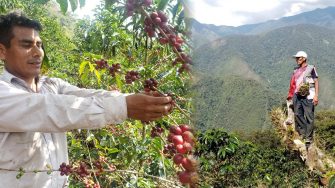 Puno: Más de 2 millones de soles se asignará para la ejecución de ...