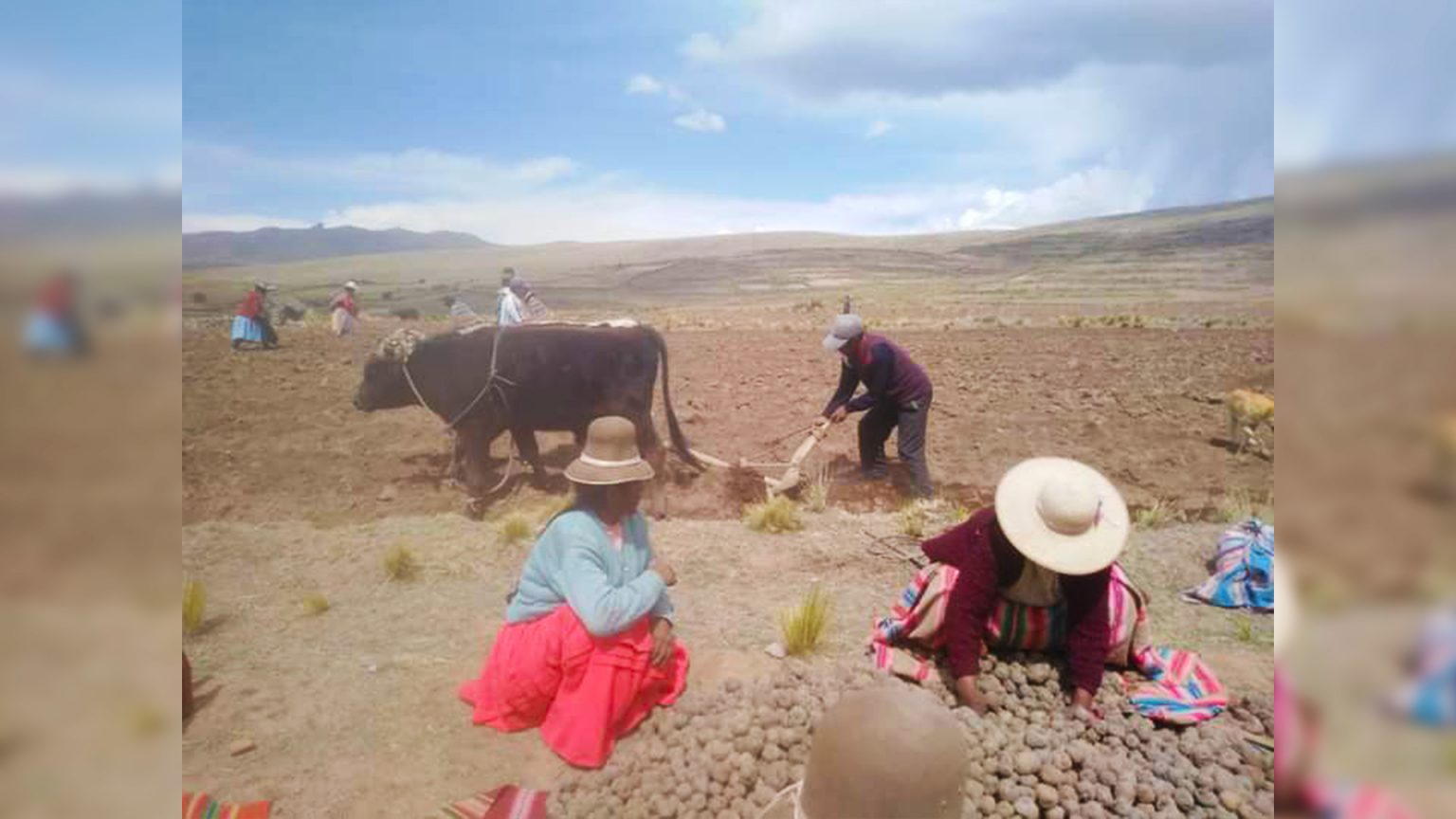 Explican que folklore no solo es símbolo de danza, también representa ...