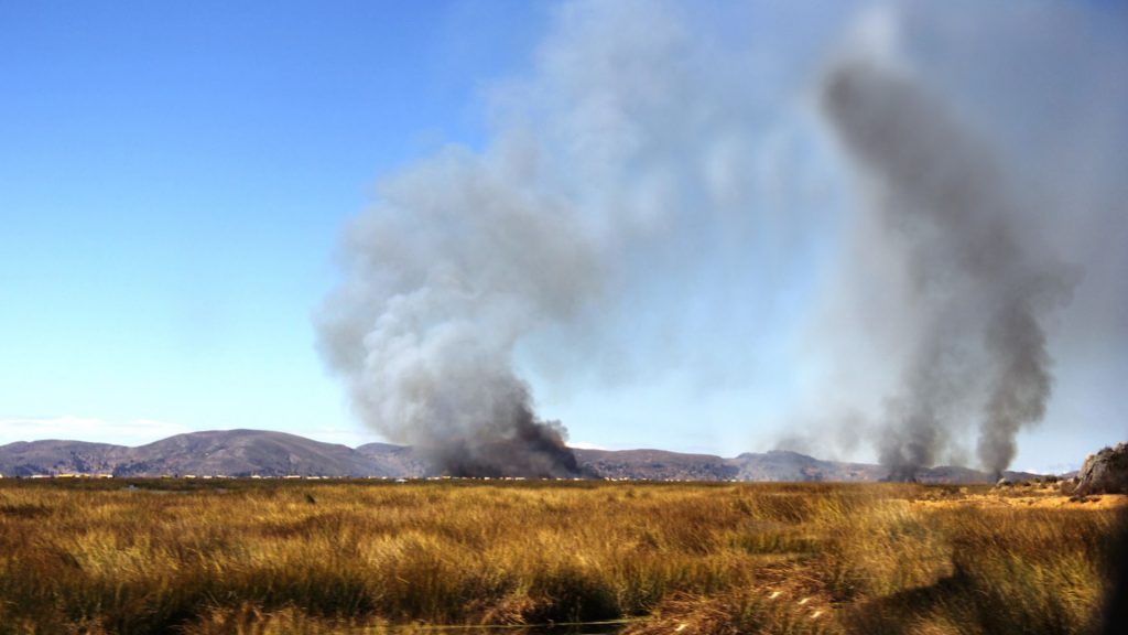 Estiman que la quema de totorales se ha reducido significativamente en ...