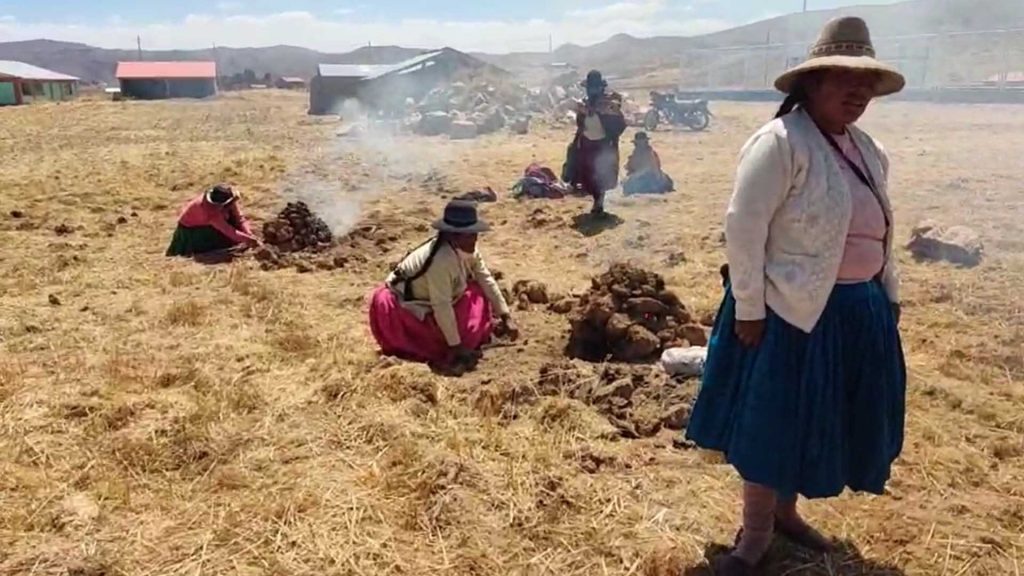 Concurso de huatia en Asillo. Participantes demostraron sus ...