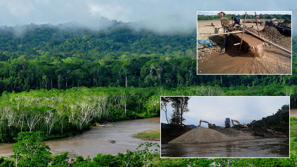 Informe: el Madidi. La amenaza en Bolivia - Radio Onda Azul