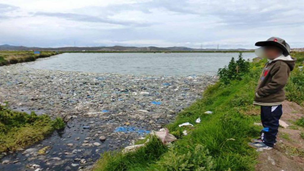 La contaminación ambiental y la degradación de los suelos son los ... La contaminación ambiental y la degradación de los suelos son los ...