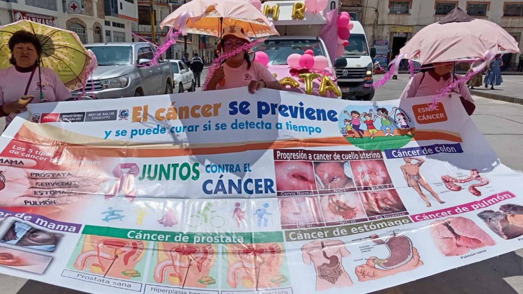 A Nivel De La Red De Salud Chucuito Hasta La Fecha Se Registró 08 Casos