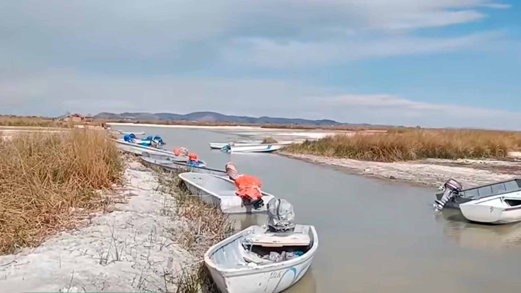 Puno: lanchas que zarpaban del embarcadero Qalapakra han quedado ...