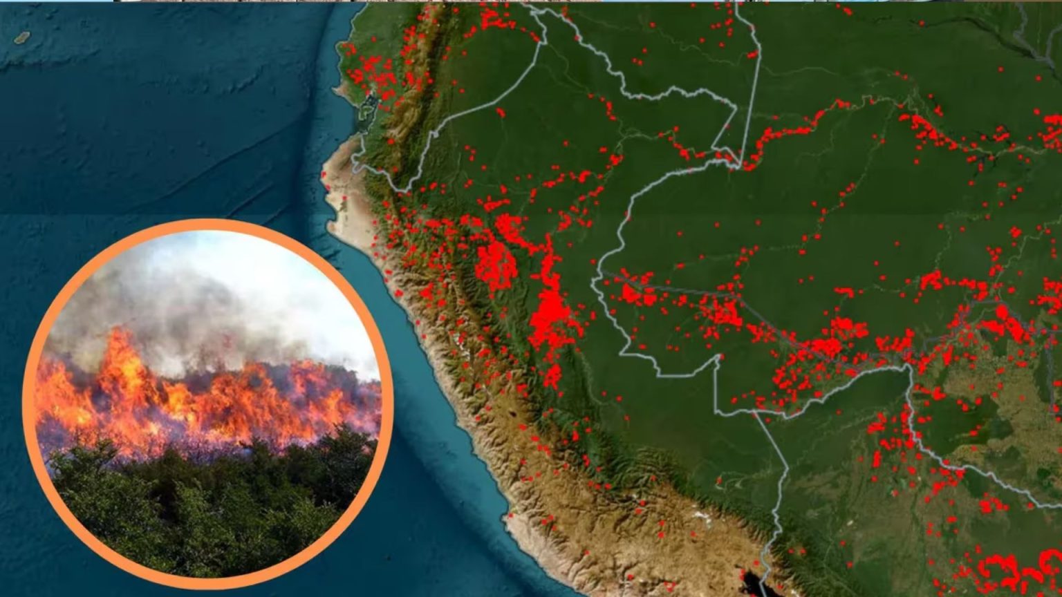 Los recientes incendios forestales en Perú han dejado una huella ...