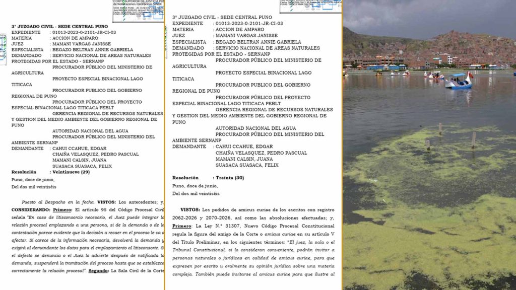 APOC cuestiona resoluciones judiciales sobre demanda para reconocer al ...