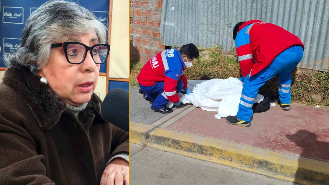 Colegio de Psicólogos de Puno advierte déficit de profesionales en ...